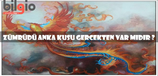 Simurg – Zümrüdü Anka Kuşu Gerçekten Var Mıdır ? - Bilgio