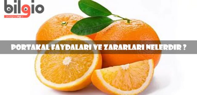 Portakal Nedir ? Portakal Faydaları ve Zararları Nelerdir ? | Bilgio.Net