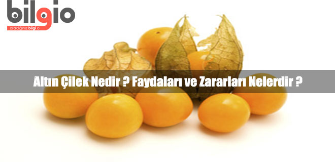 Altın Çilek Nedir ? Besin Değeri, Faydaları ve Zararları Nelerdir ...
