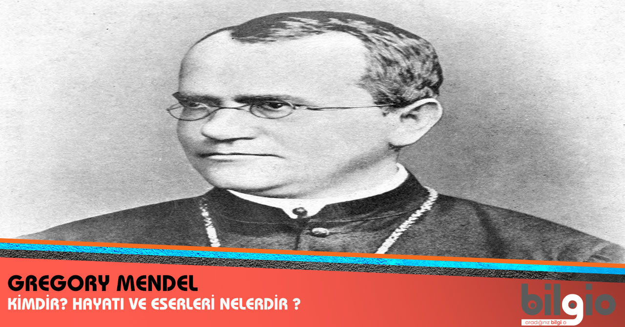 Gregory Mendel (1822-1884) Kimdir? Hayatı, Çalışma Alanları ve Eserleri ...